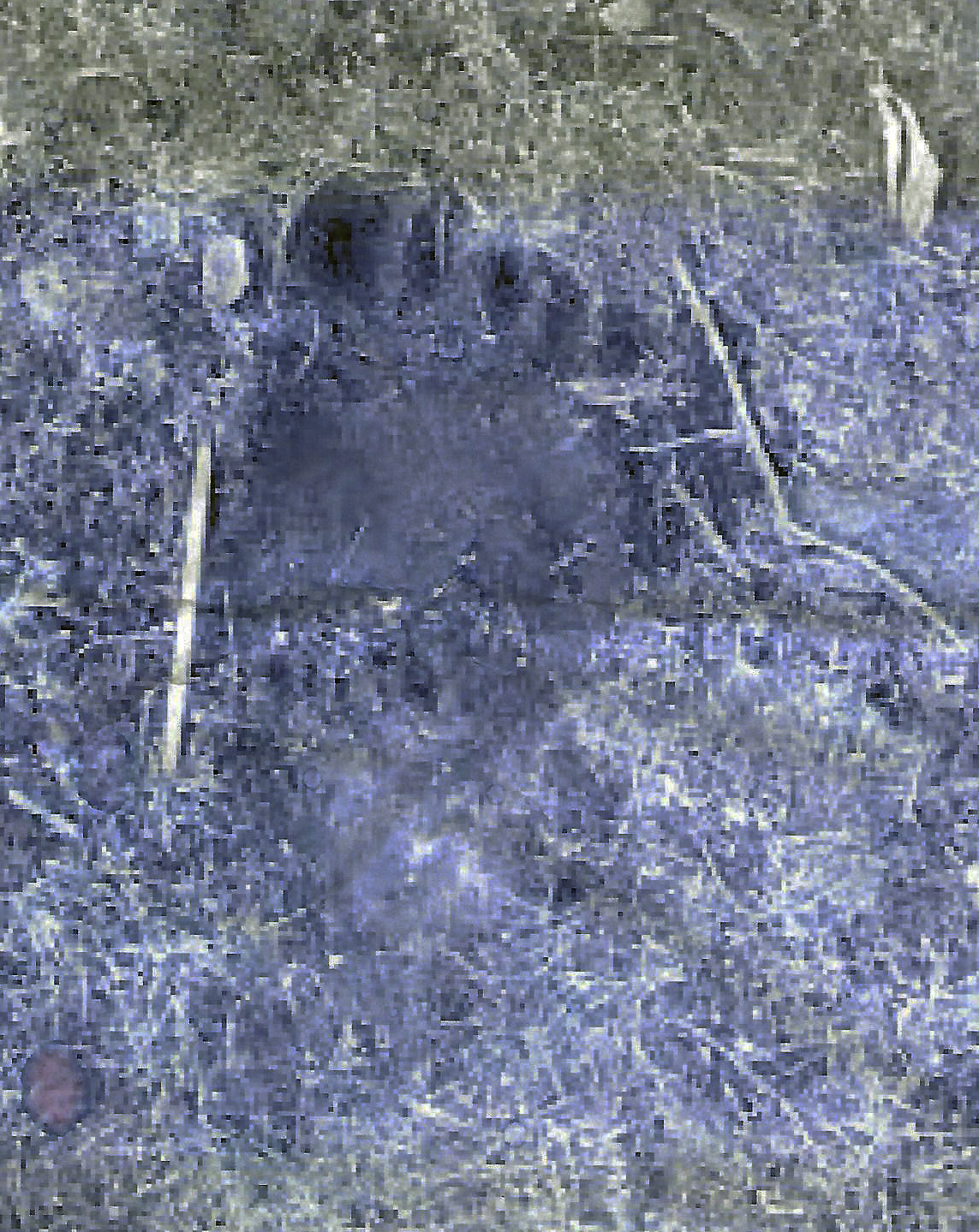 2004 PNW – CliffBarackman.com